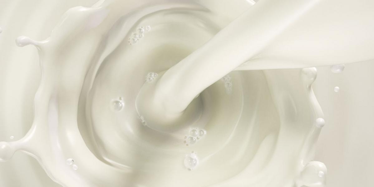 Opportunities to reduce waste along the journey of milk, from dairy to ...