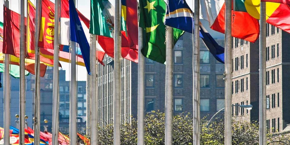 International | WRAP - The Waste and Resources Action Programme