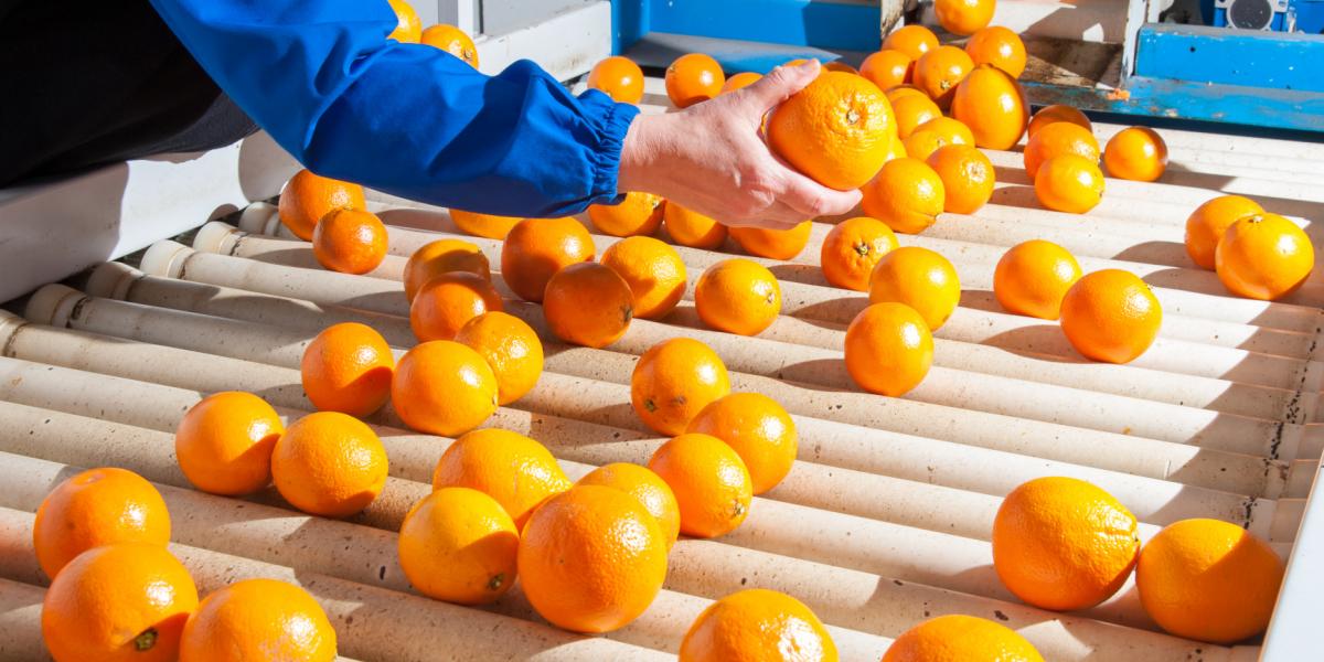 The Food Waste Reduction Roadmap: Progress Report 2022 | WRAP - The ...