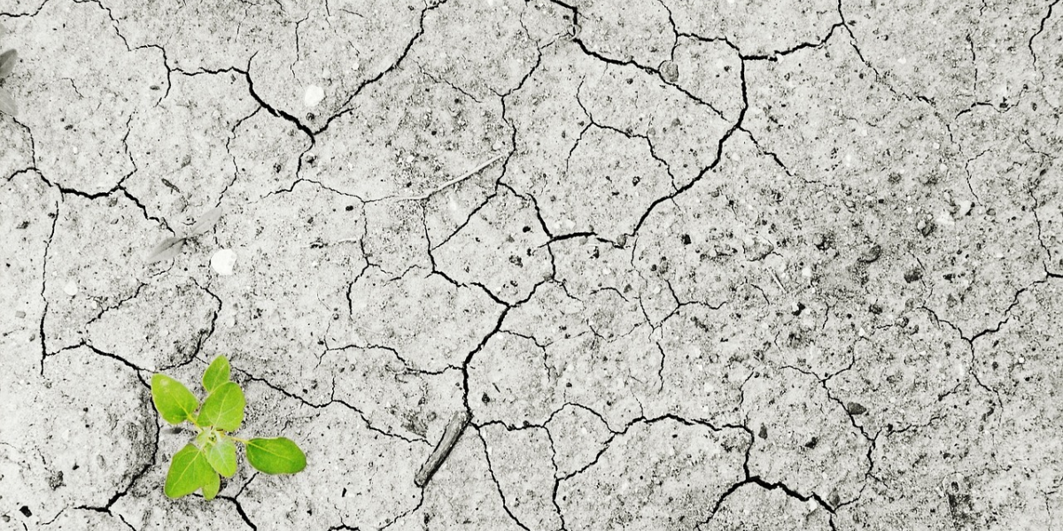 Introducing CarbonWARM2 | WRAP - The Waste and Resources Action Programme