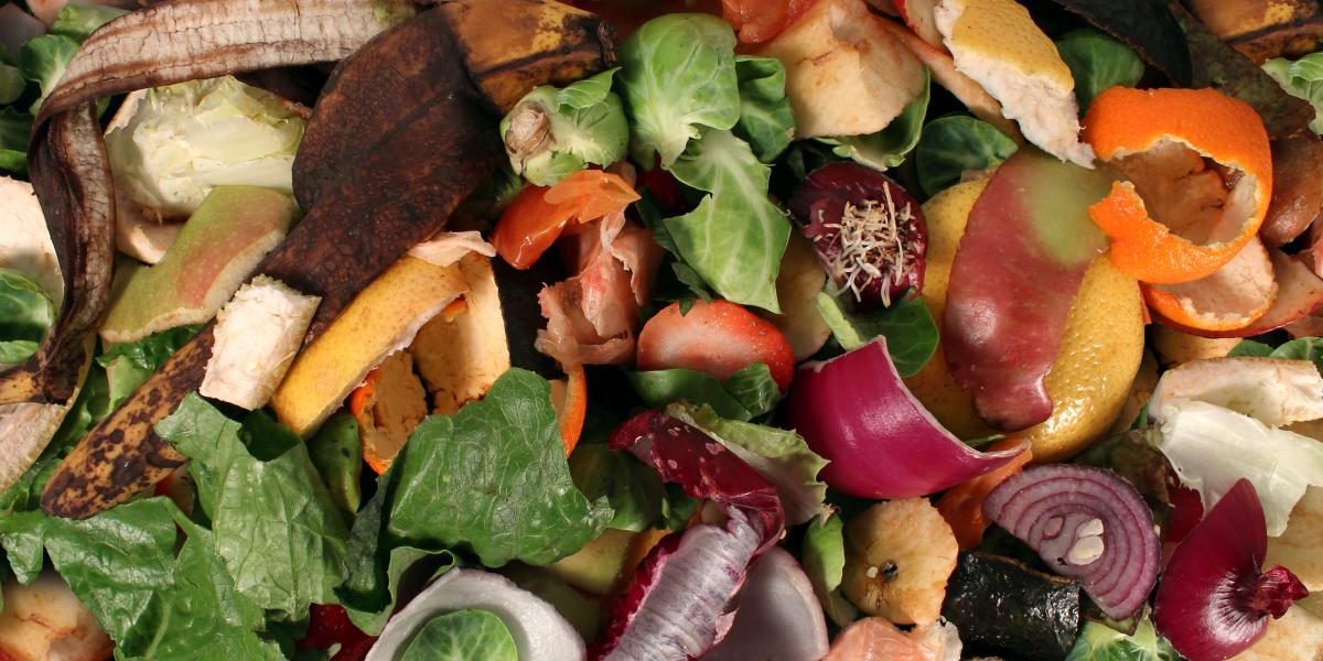 Household food waste collections guide | WRAP - The Waste and Resources ...