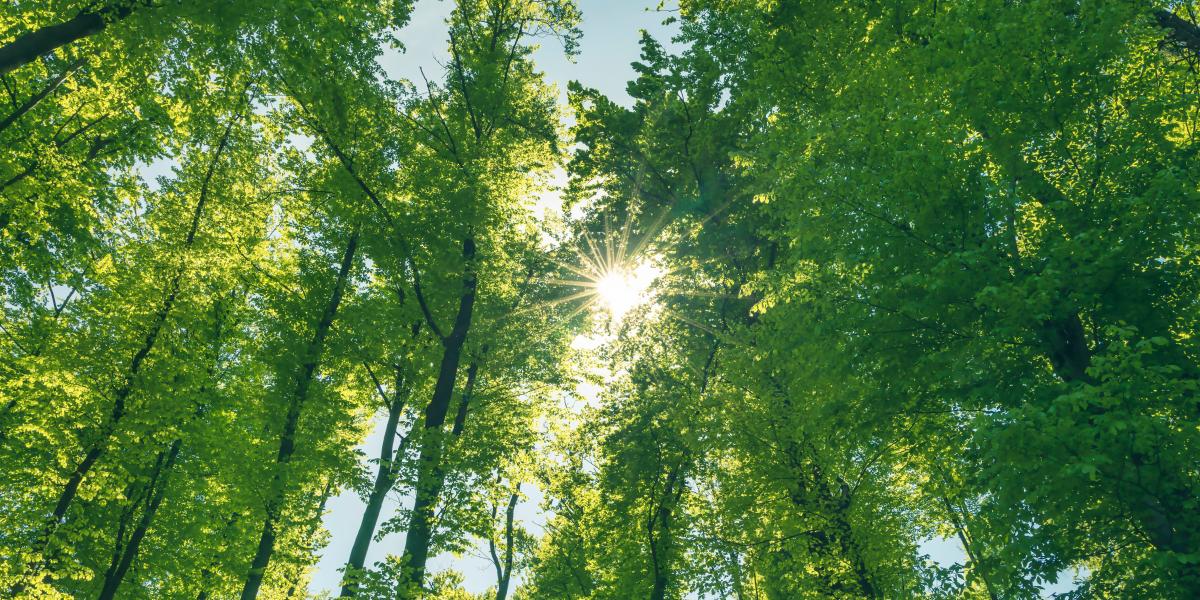 Seven Steps Towards Net Zero | WRAP - The Waste and Resources Action ...