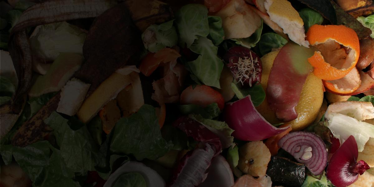 WRAP - Why Food Waste Matters at COP27 | WRAP - The Waste and Resources ...