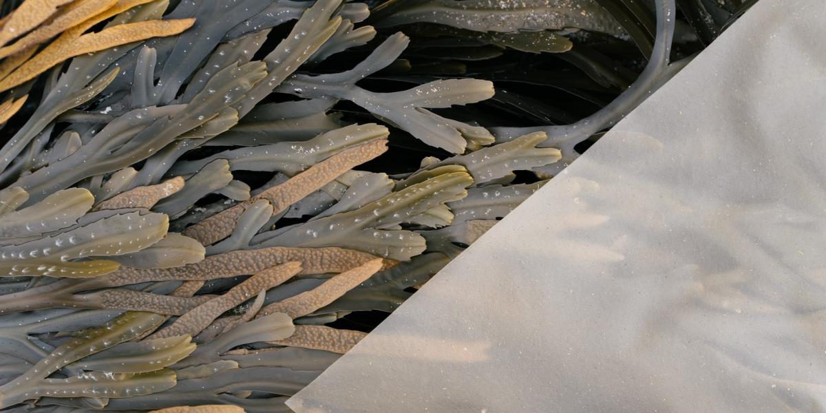 Notpla | Chile | WRAP - The Waste and Resources Action Programme