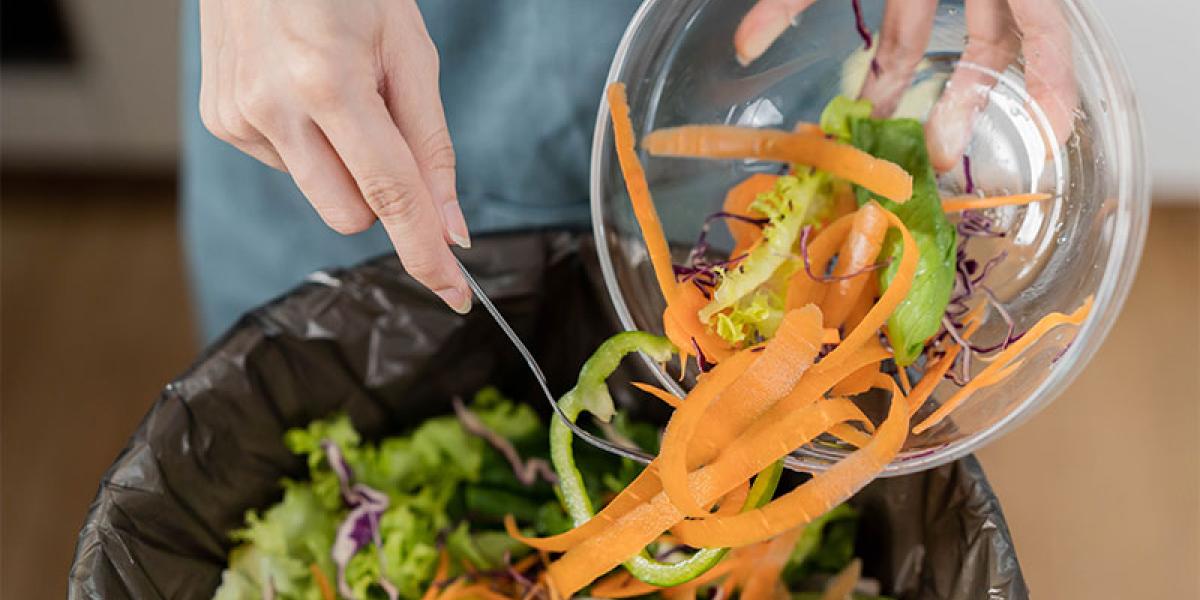 Local authority collected household food waste in the UK 2021 | WRAP ...