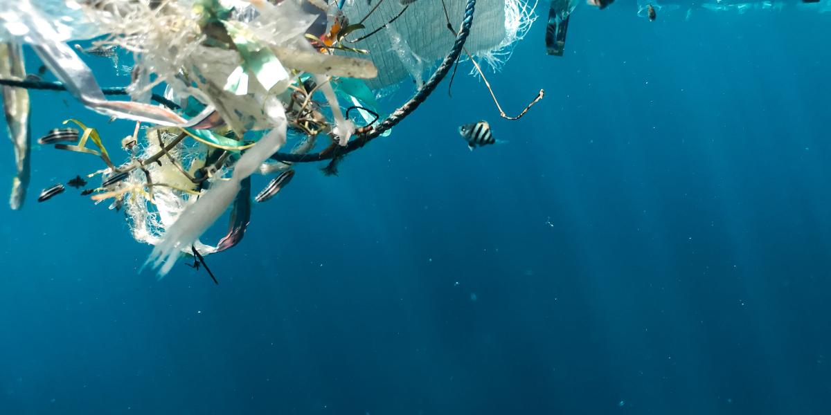 The Plastics Pact Network | WRAP - The Waste and Resources Action Programme