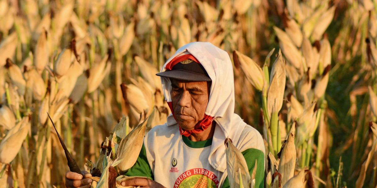 Impact | WRAP - The Waste and Resources Action Programme