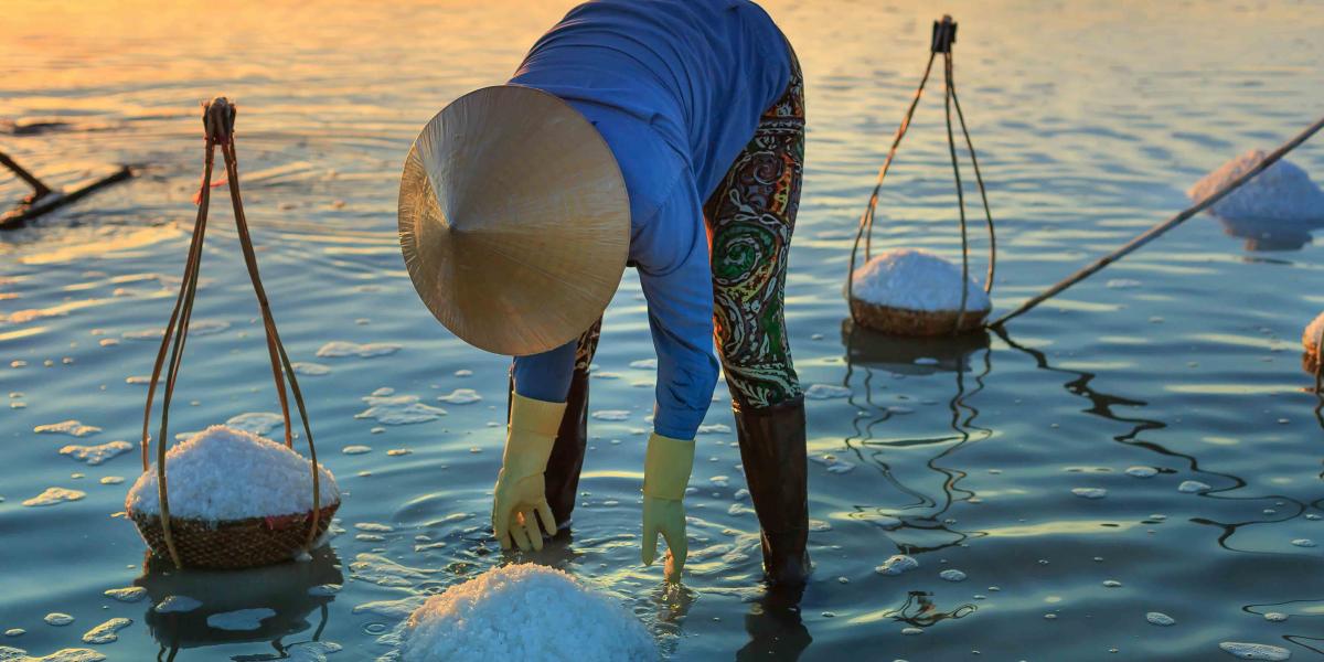 What we do | WRAP - The Waste and Resources Action Programme