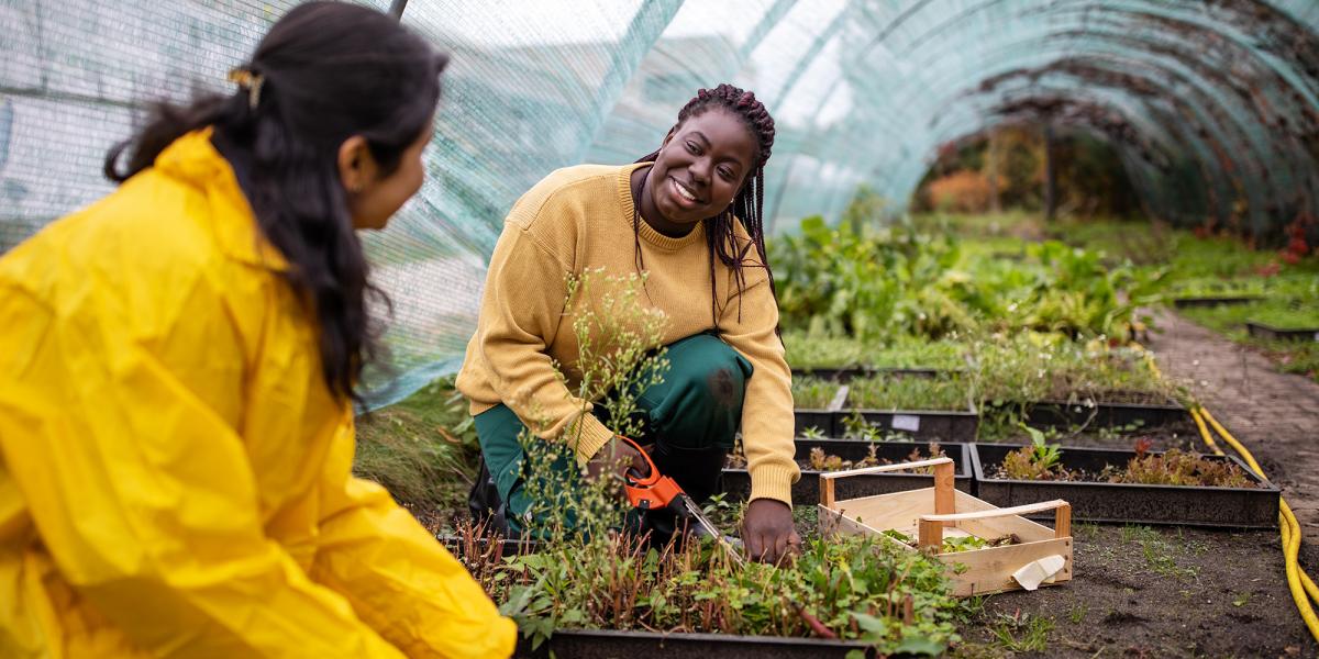 History | WRAP - The Waste and Resources Action Programme