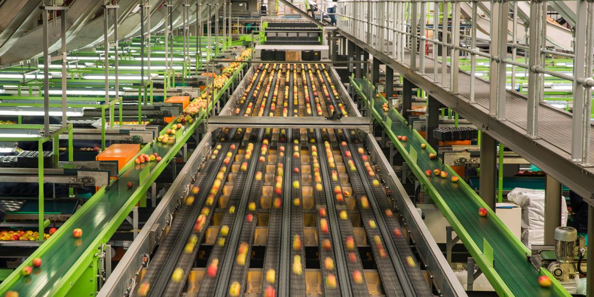 Food Waste Reduction Roadmap Toolkit | WRAP - The Waste and Resources ...