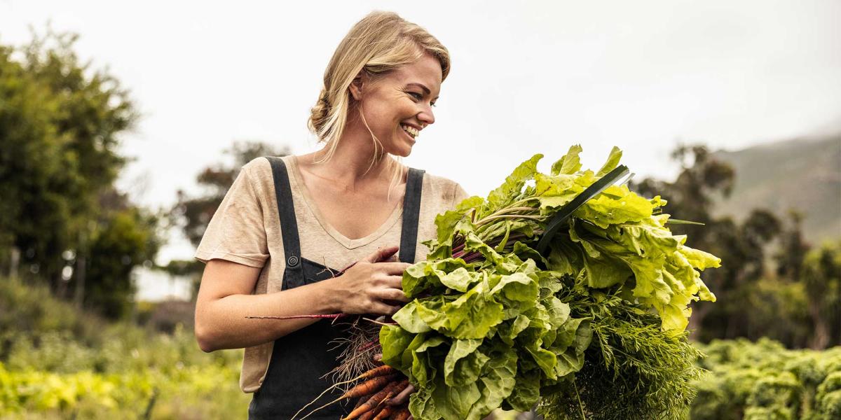 Charging for garden waste collections in the Vale of Glamorgan | WRAP ...